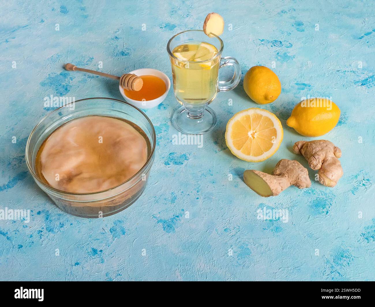 Kombucha fungus with ginger root, honey and lemon. Antiviral dri Stock ...