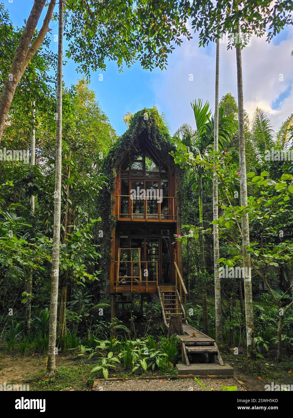 Unique wooden treehouse retreat surrounded by lush greenery rainforest ...