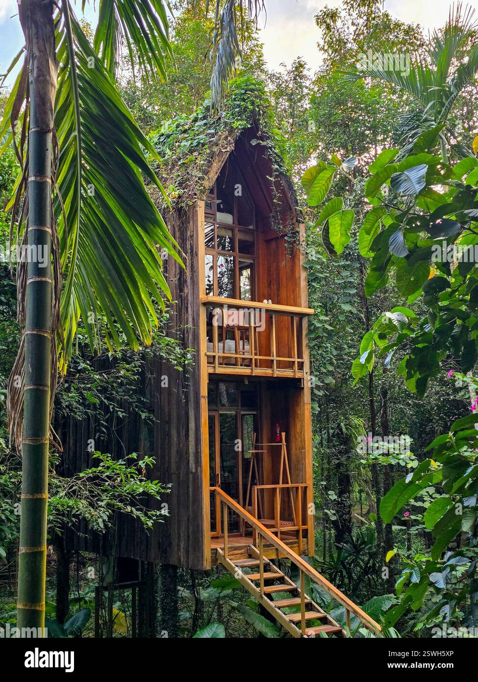 Explore eco-friendly architecture in the lush forests jungle rainforest ...