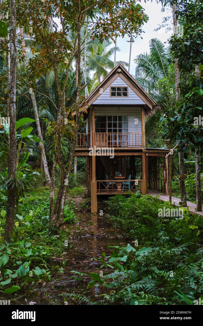 Explore a tranquil hideaway in the lush greenery, surrounded by natures ...