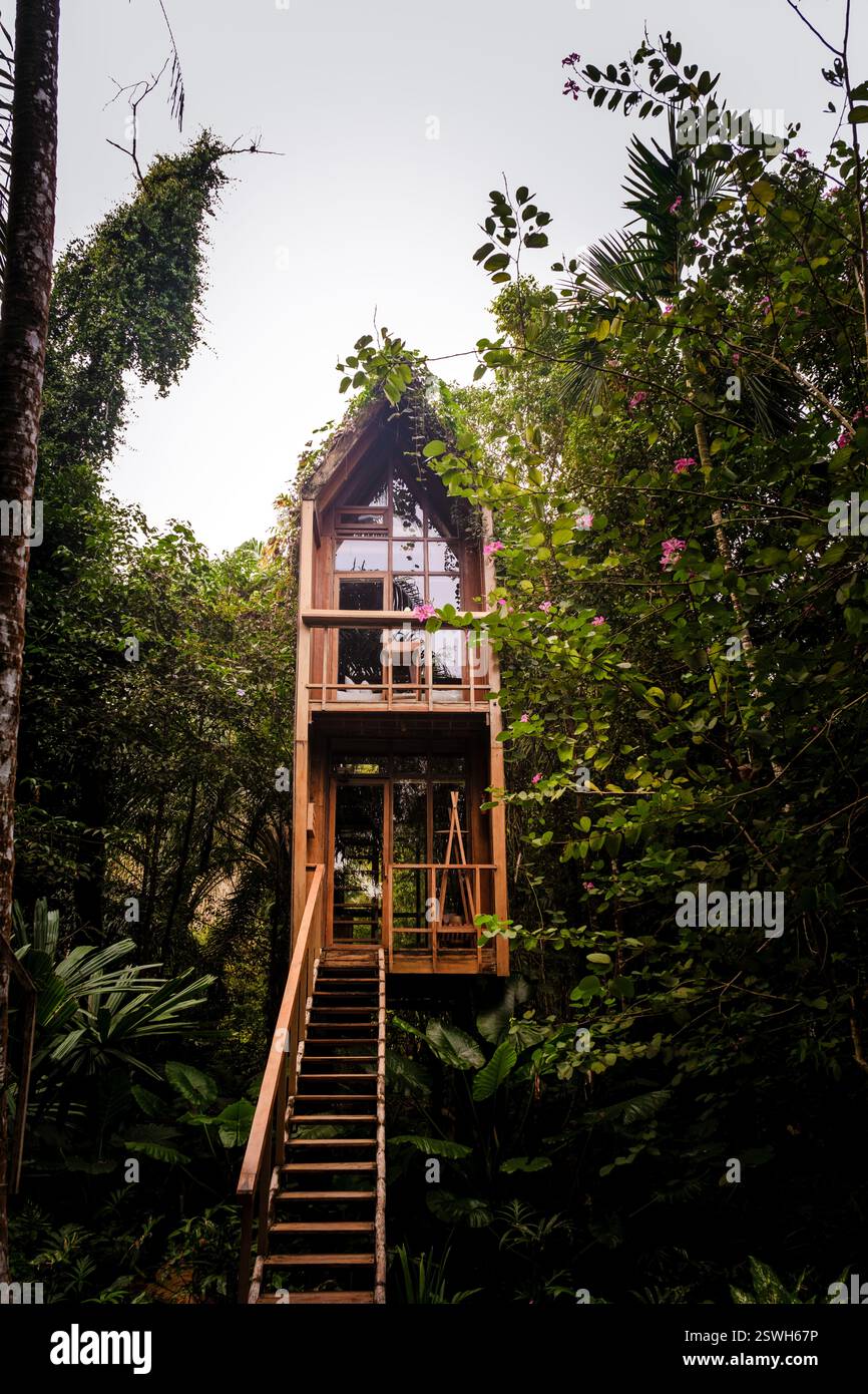 Exploring a hidden wooden treehouse in the lush jungles rainforest ...