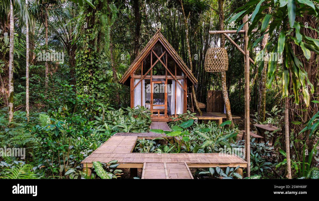 Enchanting bamboo retreat cabin nestled in the lush wilderness ...