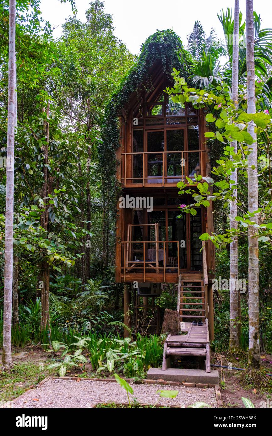 Explore a serene wooden cabin retreat nestled in the lush greenery ...
