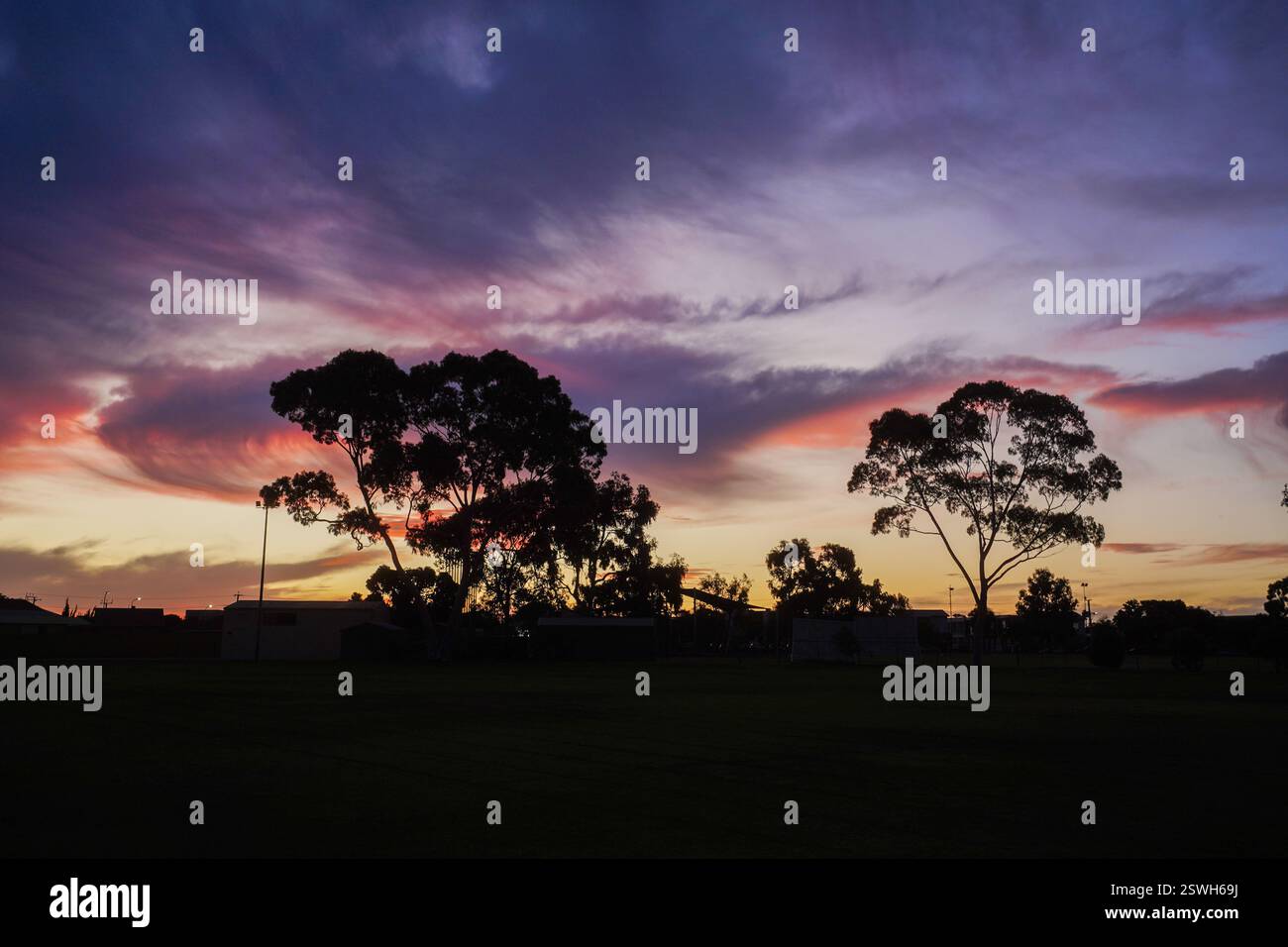 Adelaide, Australia 21 February 2025. Eucalyptus trees are silhouetted ...