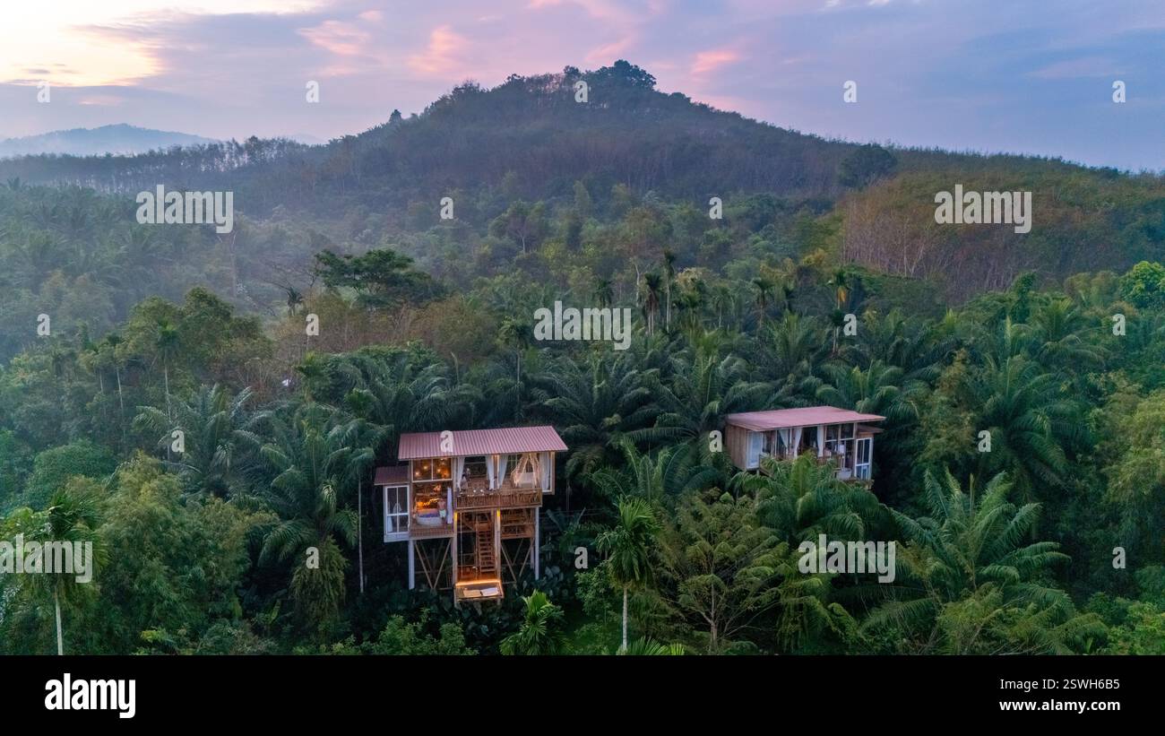 Two charming treehouses rise among the vibrant green foliage, offering ...