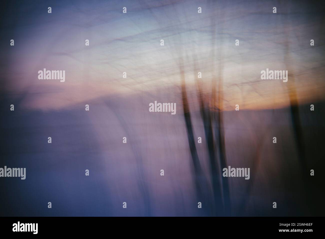 Abstract Winter Landscape with Soft Focus and Intentional Blur Stock ...