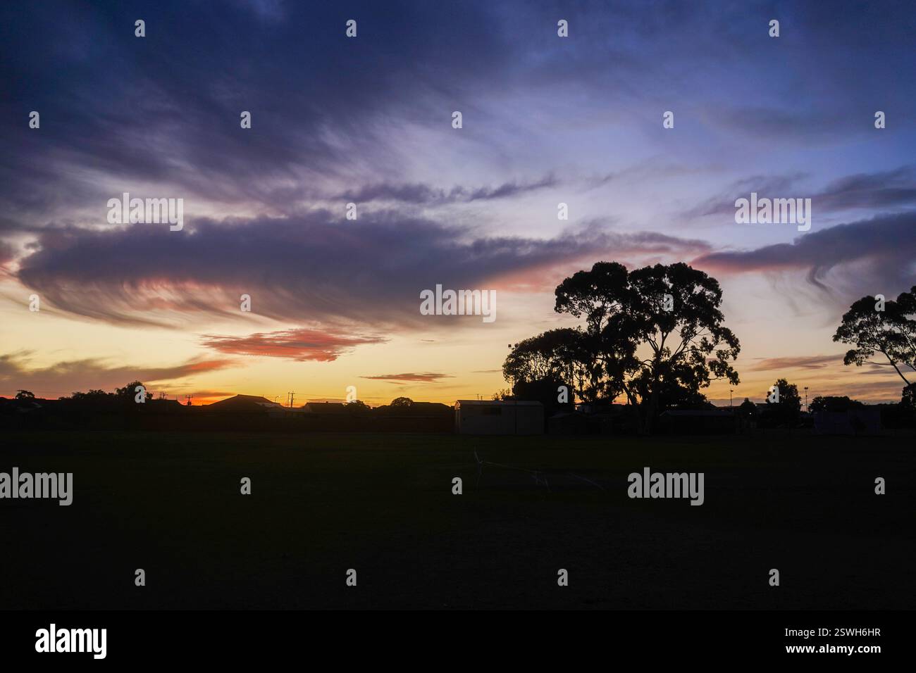 Adelaide, Australia 21 February 2025. Eucalyptus trees are silhouetted ...