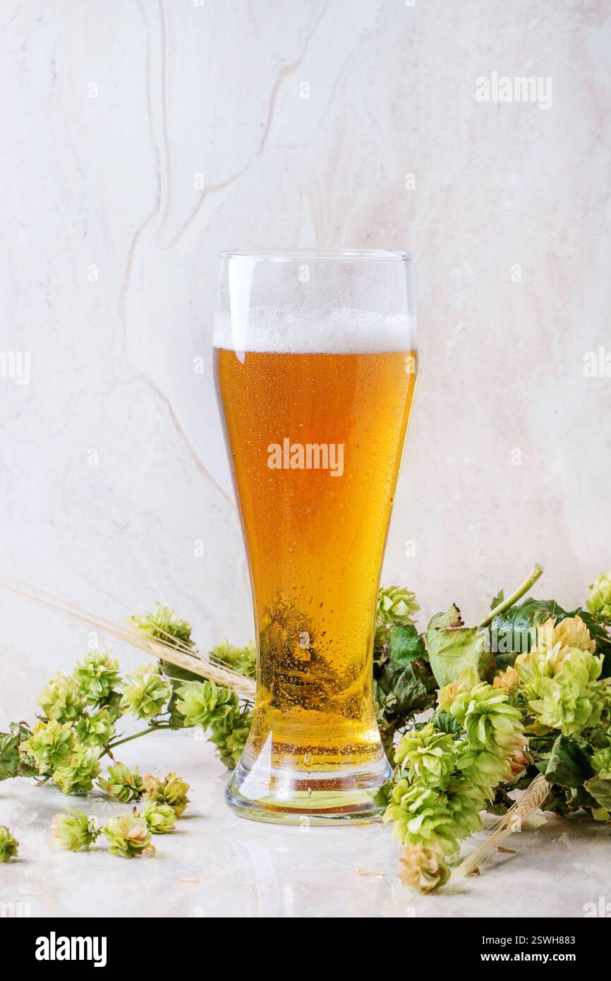 Glass of lager beer Stock Photo - Alamy