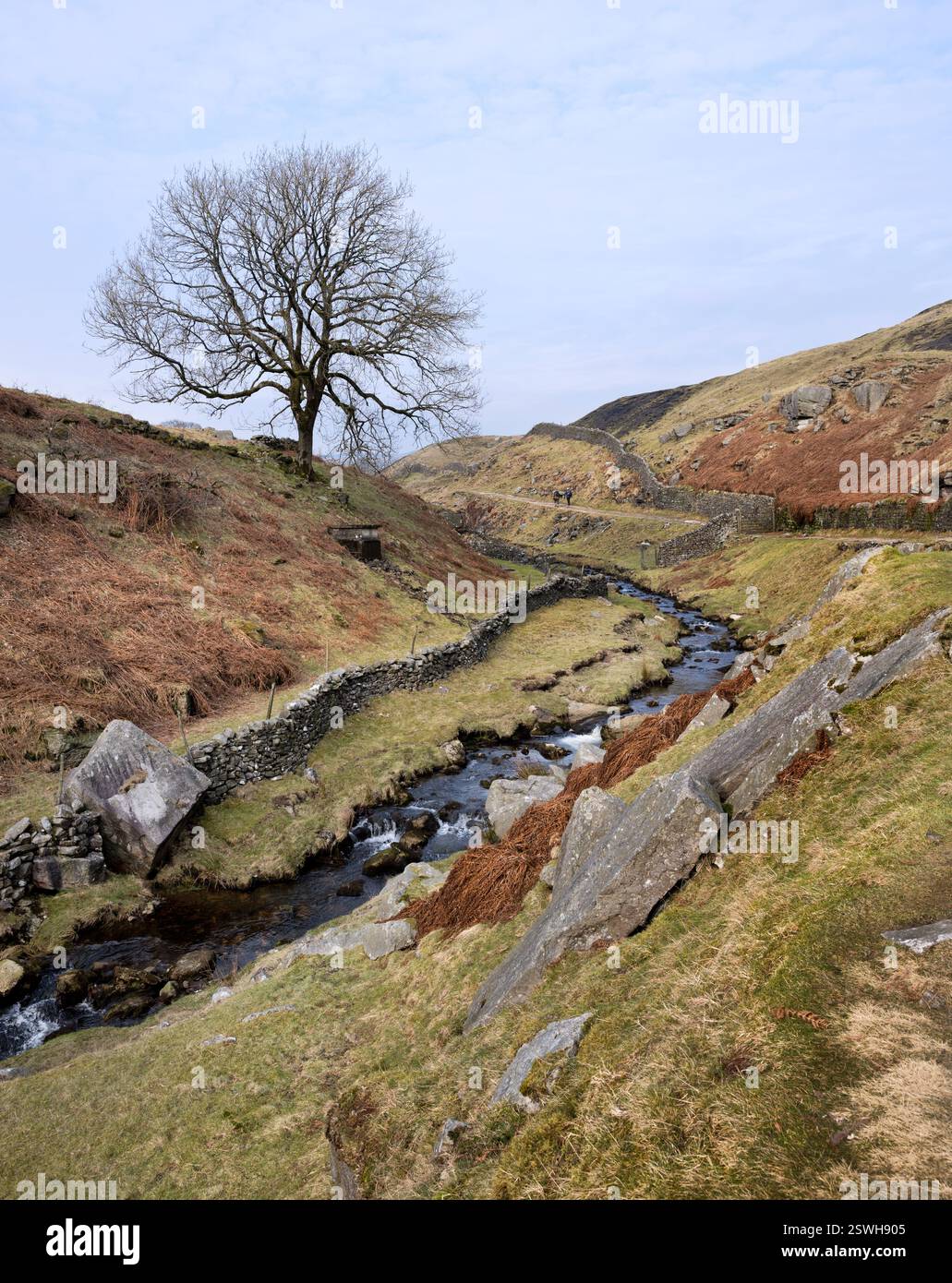 Footpath (with two walkers) along Hebden Beck leading to Grassington ...