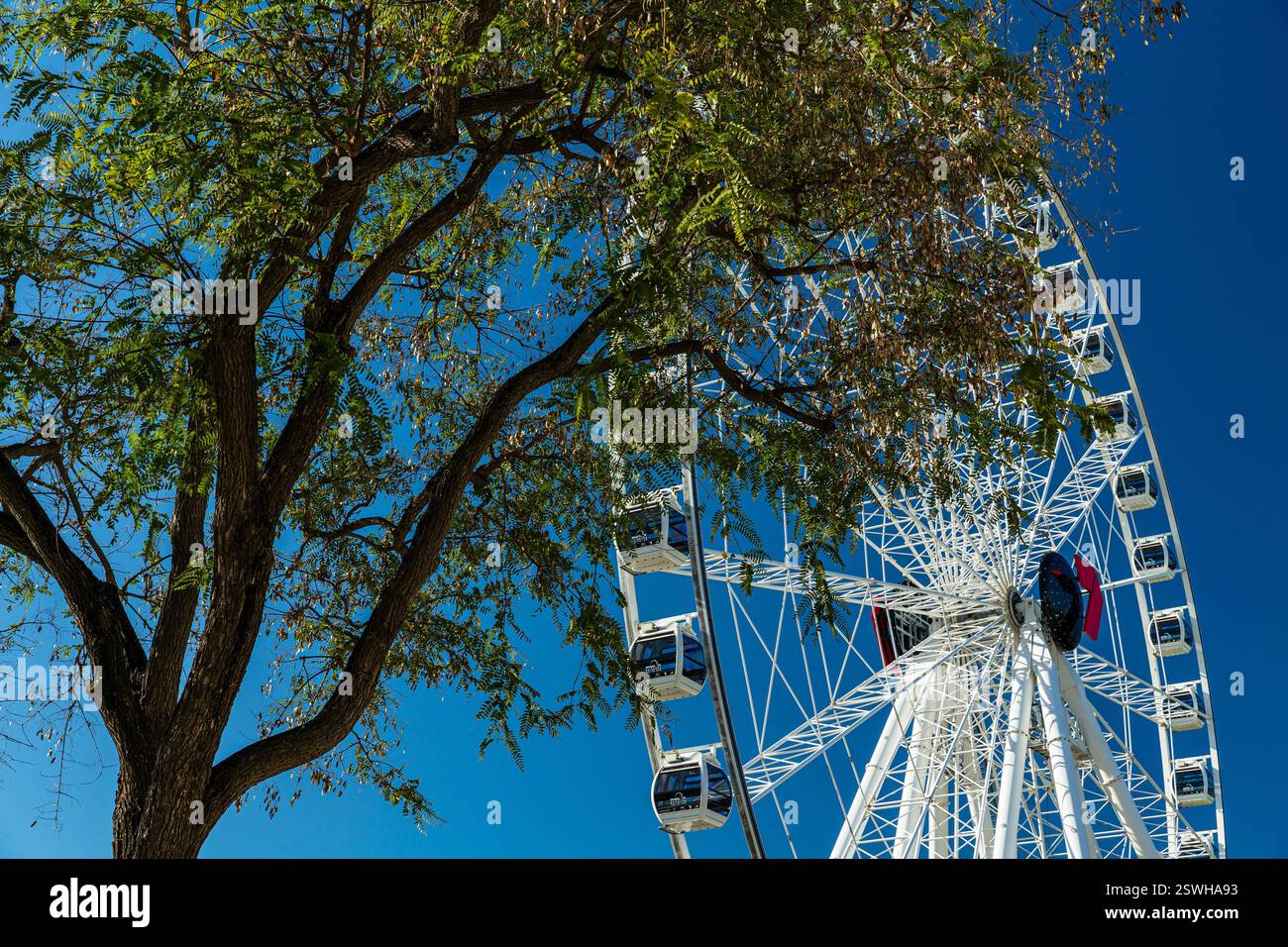 Ferris wheel of Brisbane on the South Bank of Brisbane, Australia Stock ...