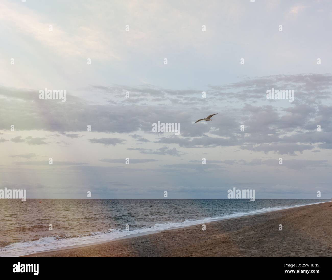 Flight over beach black sea hi-res stock photography and images - Alamy