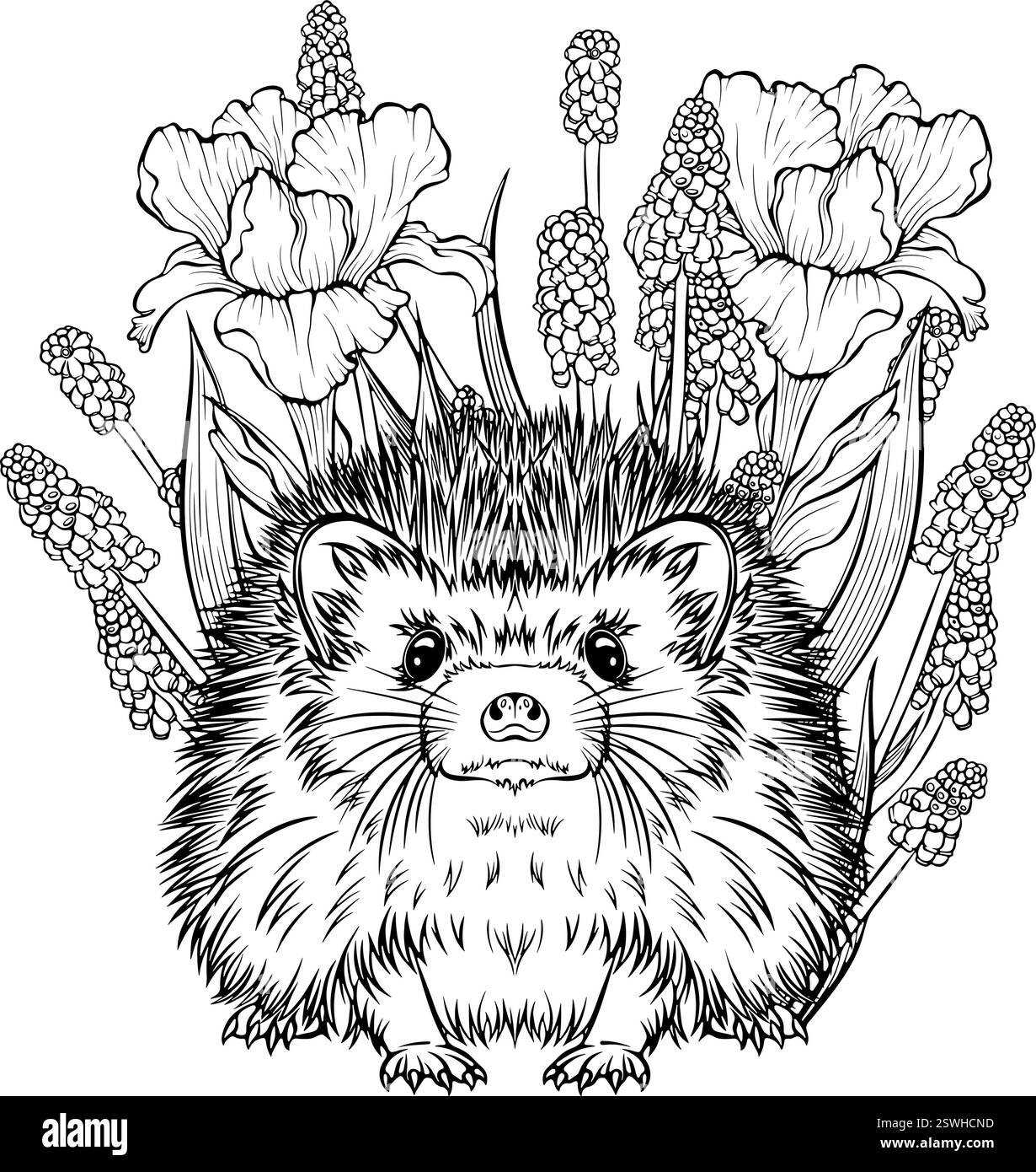 Hedgehog with spring flowers line art Stock Vector Image & Art - Alamy