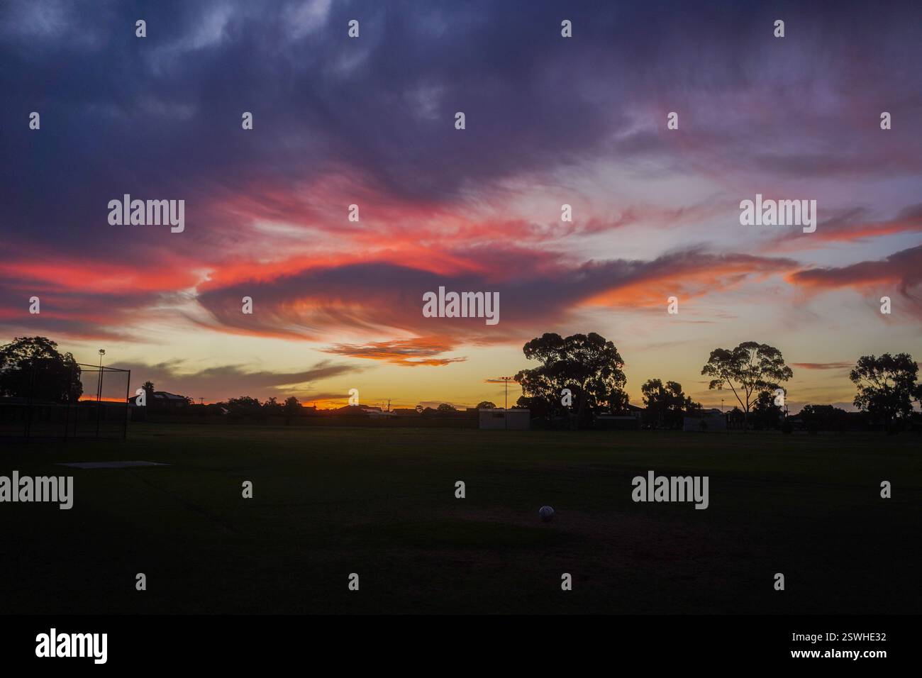 Adelaide, Australia 21 February 2025. Eucalyptus trees are silhouetted ...