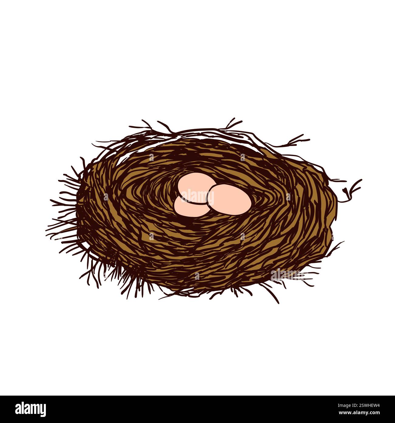 Bird nest with eggs. Easter hand drawn vector illustration, template ...