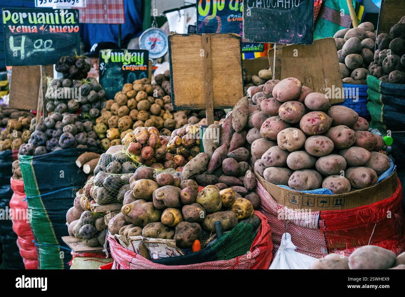 A vibrant Peruvian market displaying diverse potato varieties with ...