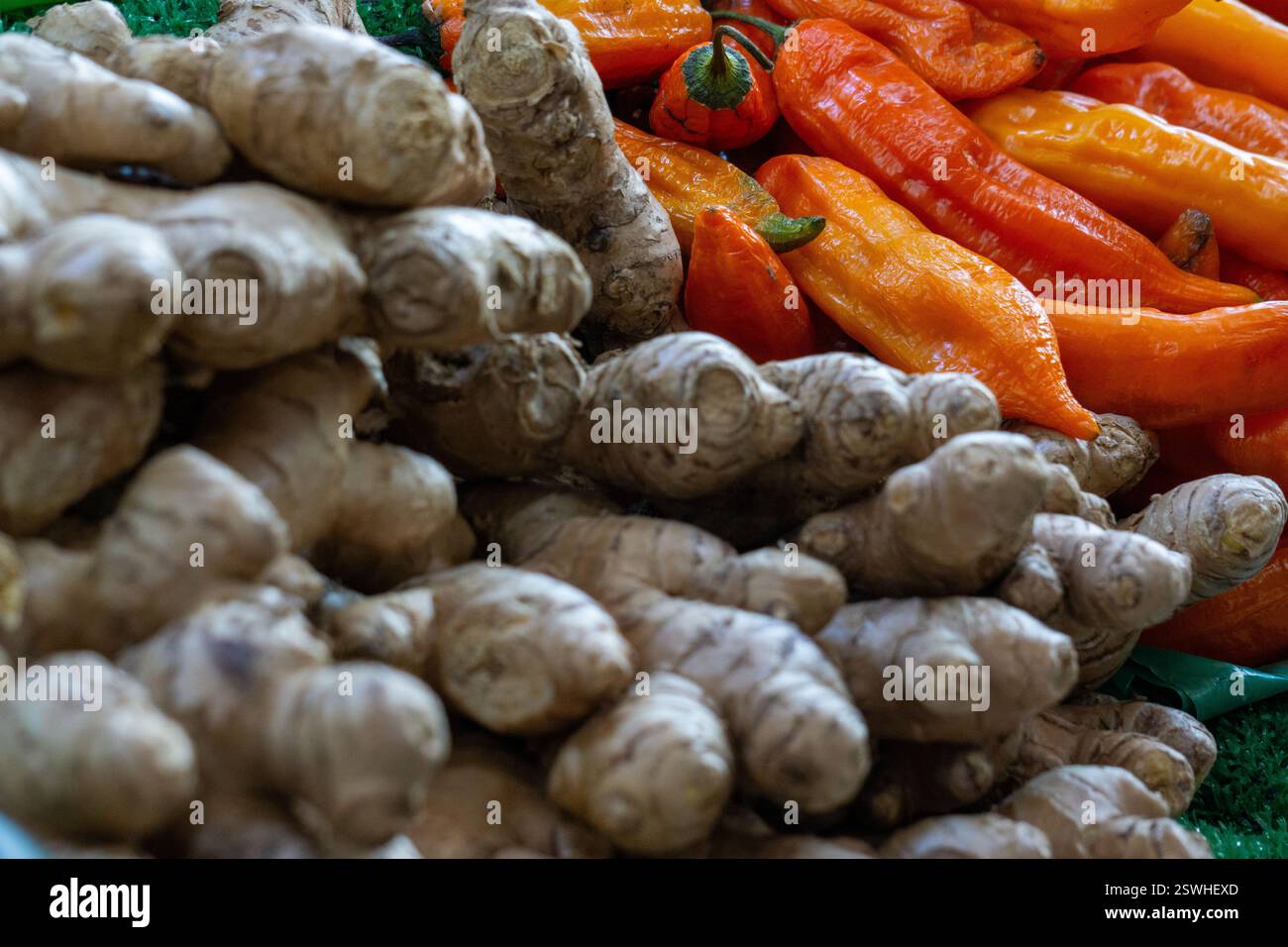 A vibrant composition of fresh ginger and chili peppers showcasing ...