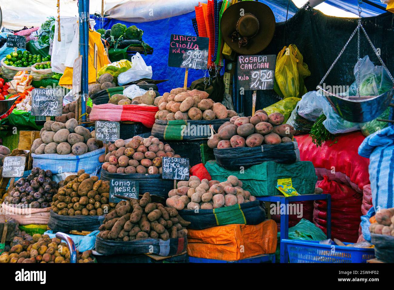 A vibrant Peruvian market displaying diverse potato varieties with ...