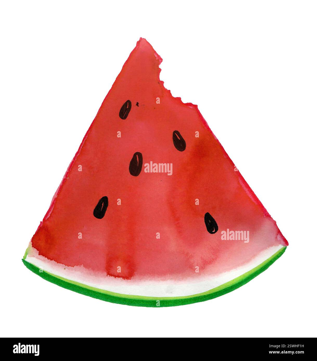 Slice of watermelon. Hand drawn watercolour illustration Stock Photo ...