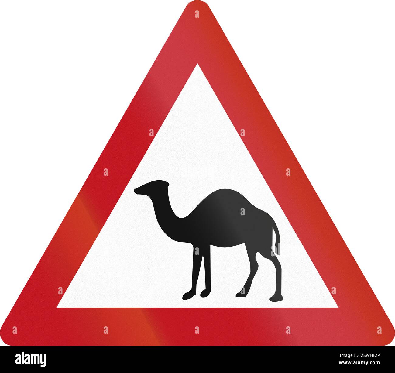 Road warning sign in Israel - Camels Crossing Stock Photo - Alamy