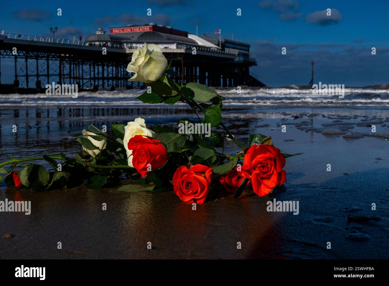 Roses red sea coast hi-res stock photography and images - Alamy