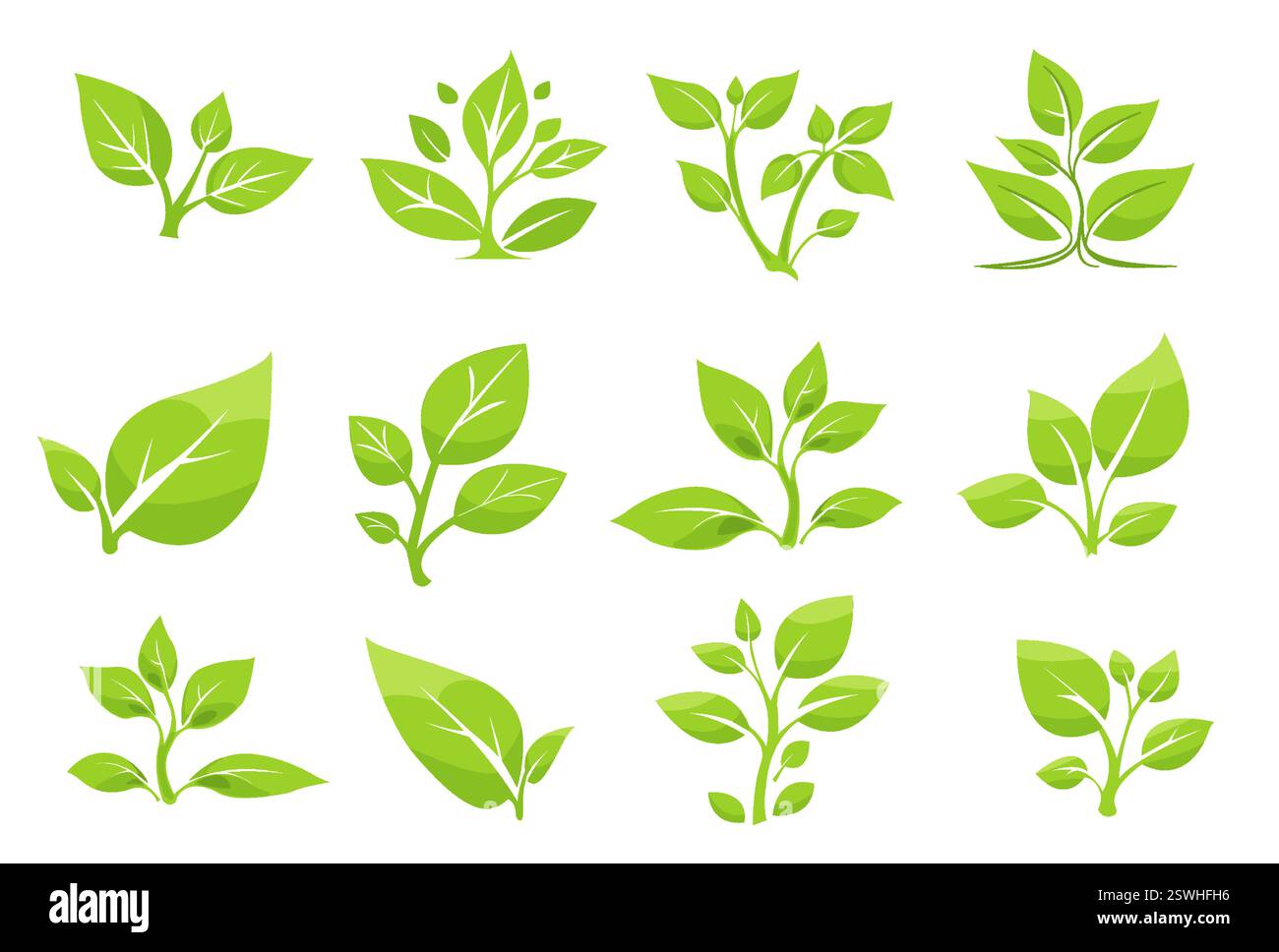 Collection of vibrant green leaf illustrations showcasing various plant ...