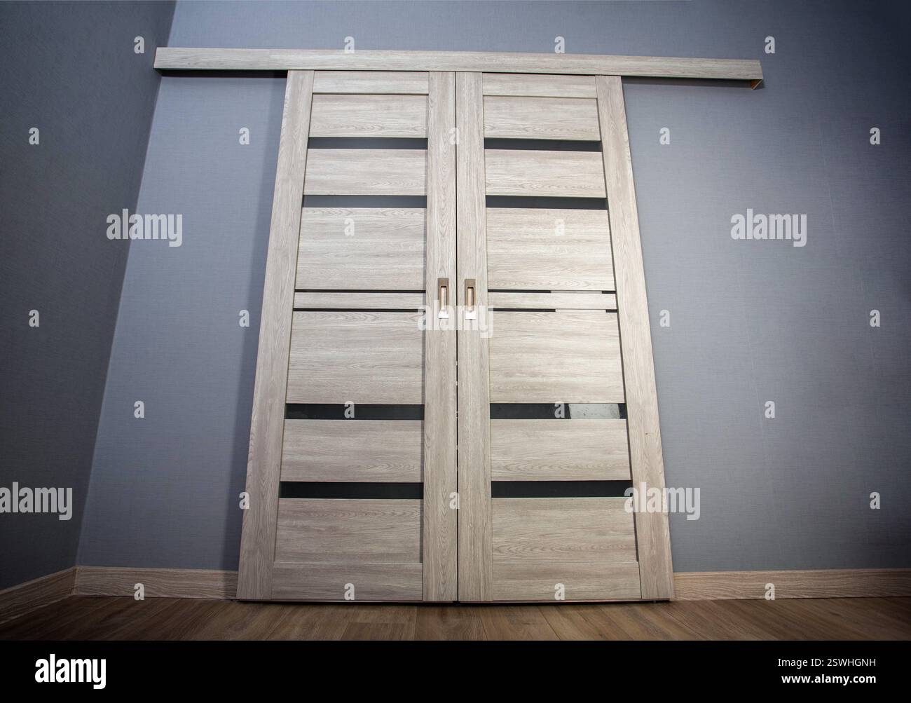 Modern gray interior sliding doors for the entrance to the hall ...