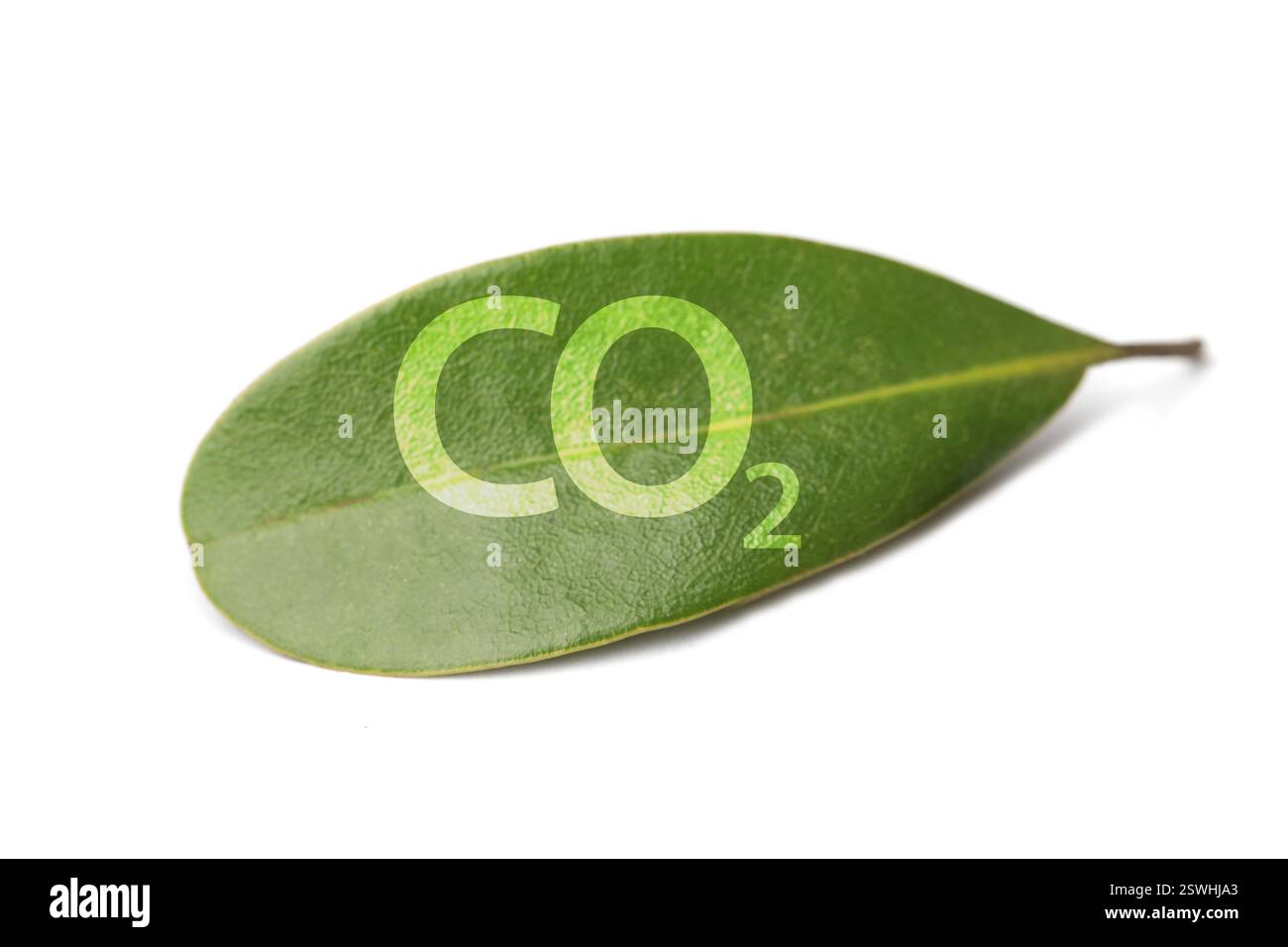 CO2 and Climate change concept on green leaf on white background Stock ...