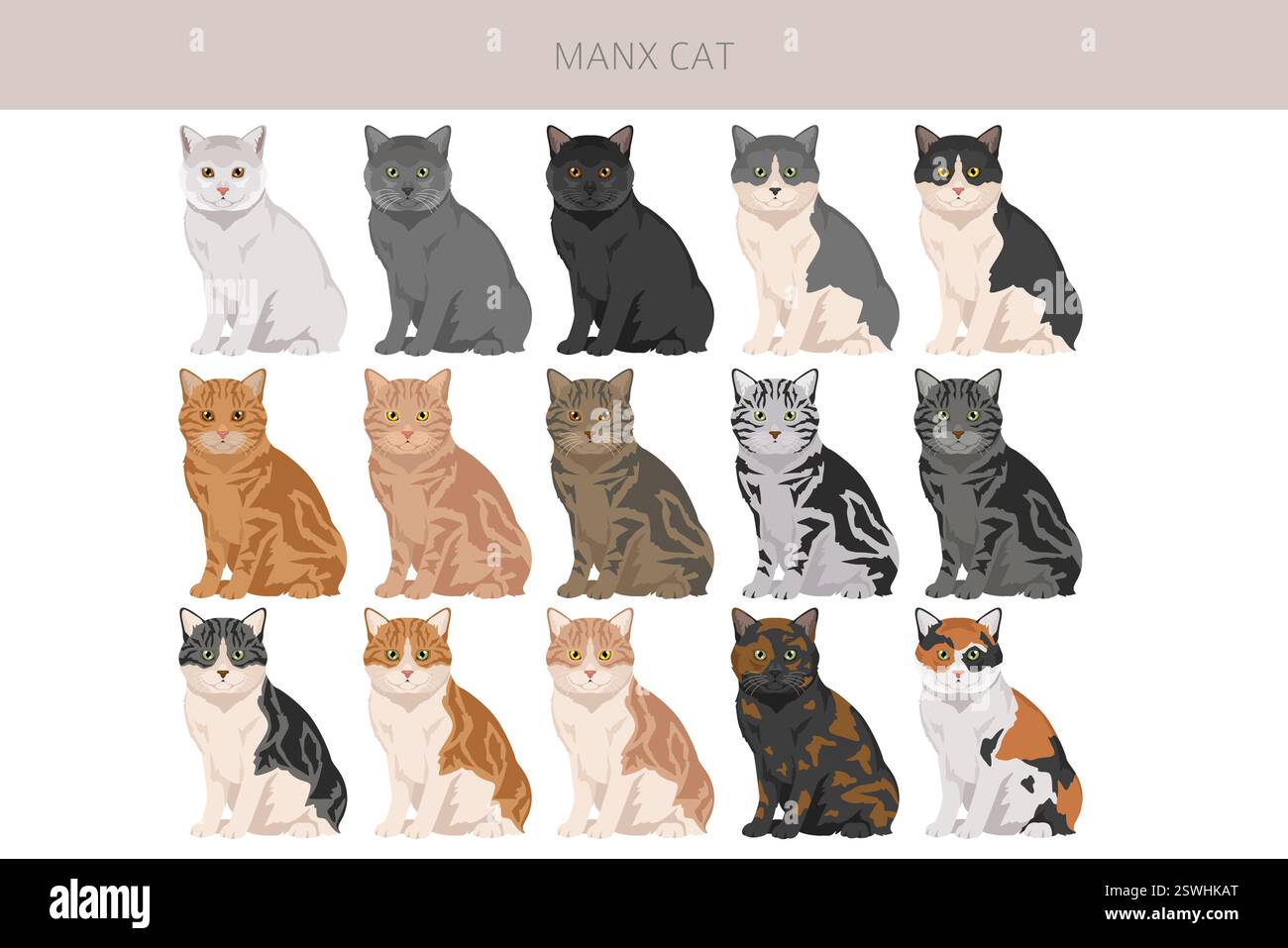 Manx Cat clipart. All coat colors set. All cat breeds characteristics ...