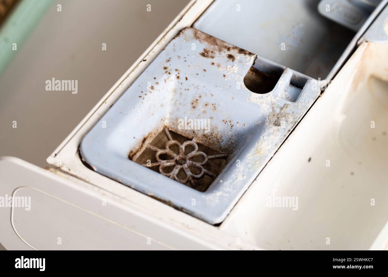 Dirt and mold in the washing machine tray. Unsanitary conditions ...