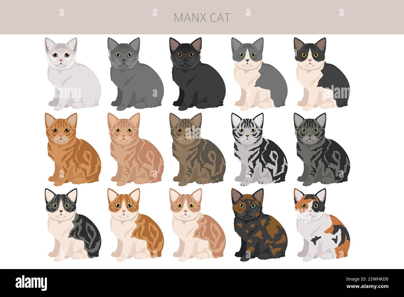 Manx Cat clipart. All coat colors set. All cat breeds characteristics ...