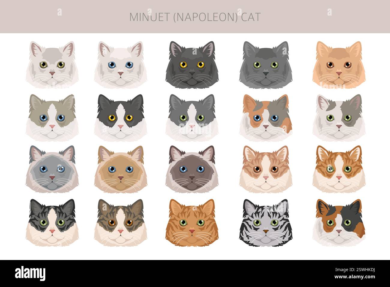 Portrait purebred persian kitten Stock Vector Images - Alamy