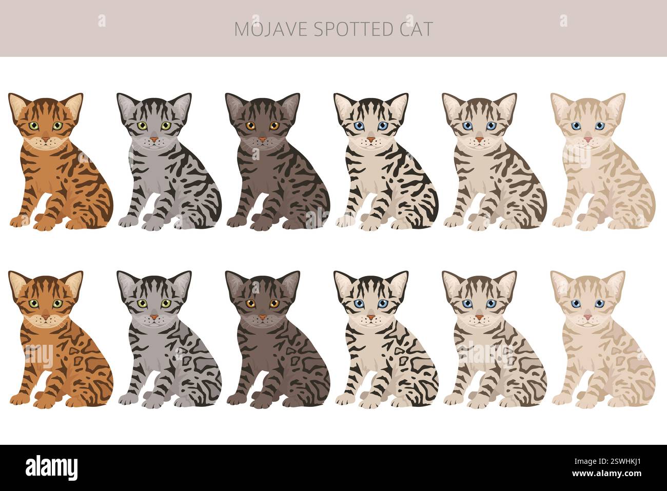 Mojave Spotted Cat clipart. Bengsl and American polydactyil mix cross ...