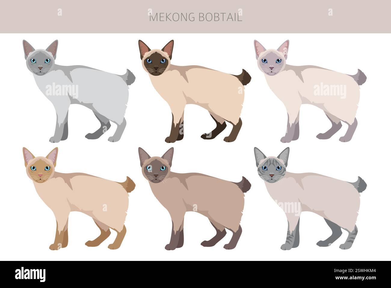 Mekong Bobtail Cat clipart. All coat colors set. All cat breeds ...