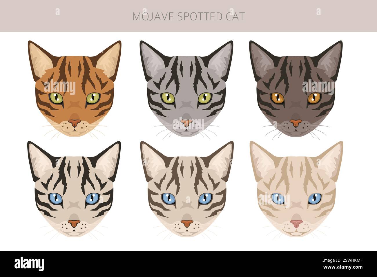 Mojave Spotted Cat clipart. Bengsl and American polydactyil mix cross ...