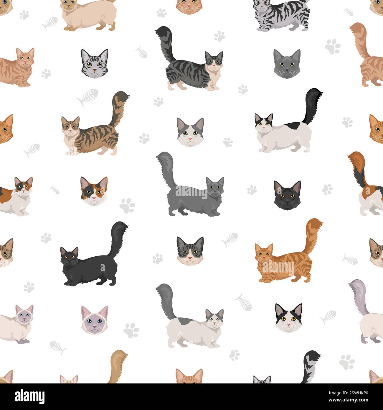 Munchkin Cat seamless pattern. All coat colors set. All cat breeds ...