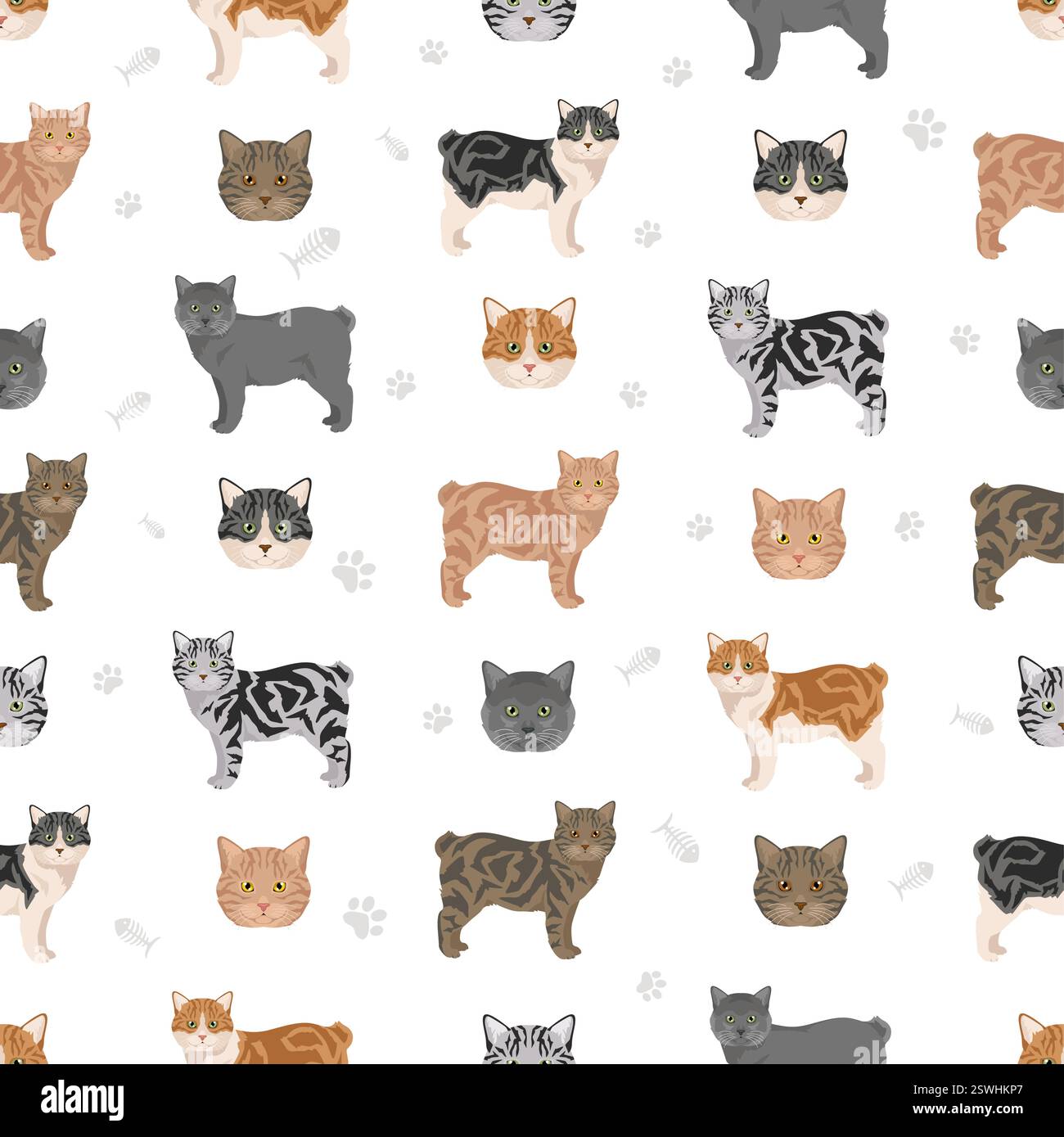 Manx Cat seamless pattern. All coat colors set. All cat breeds ...