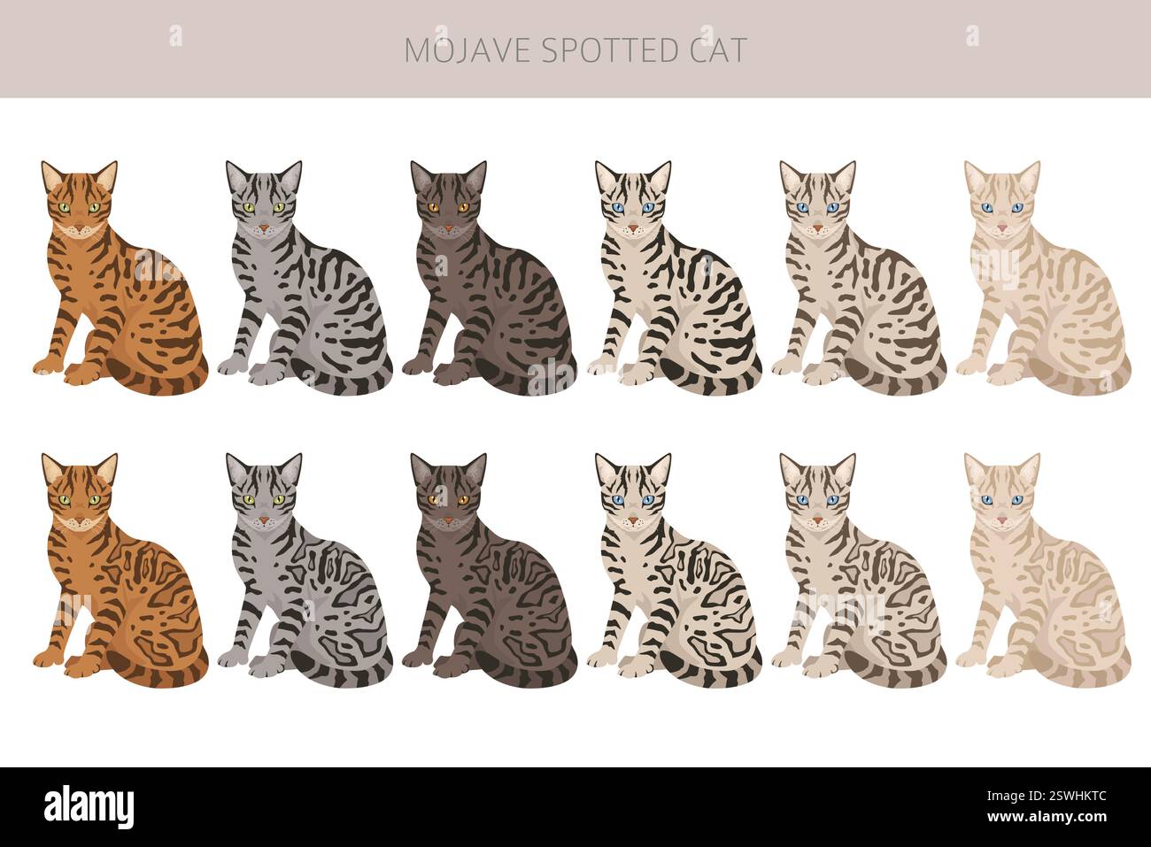 Mojave Spotted Cat clipart. Bengsl and American polydactyil mix cross ...
