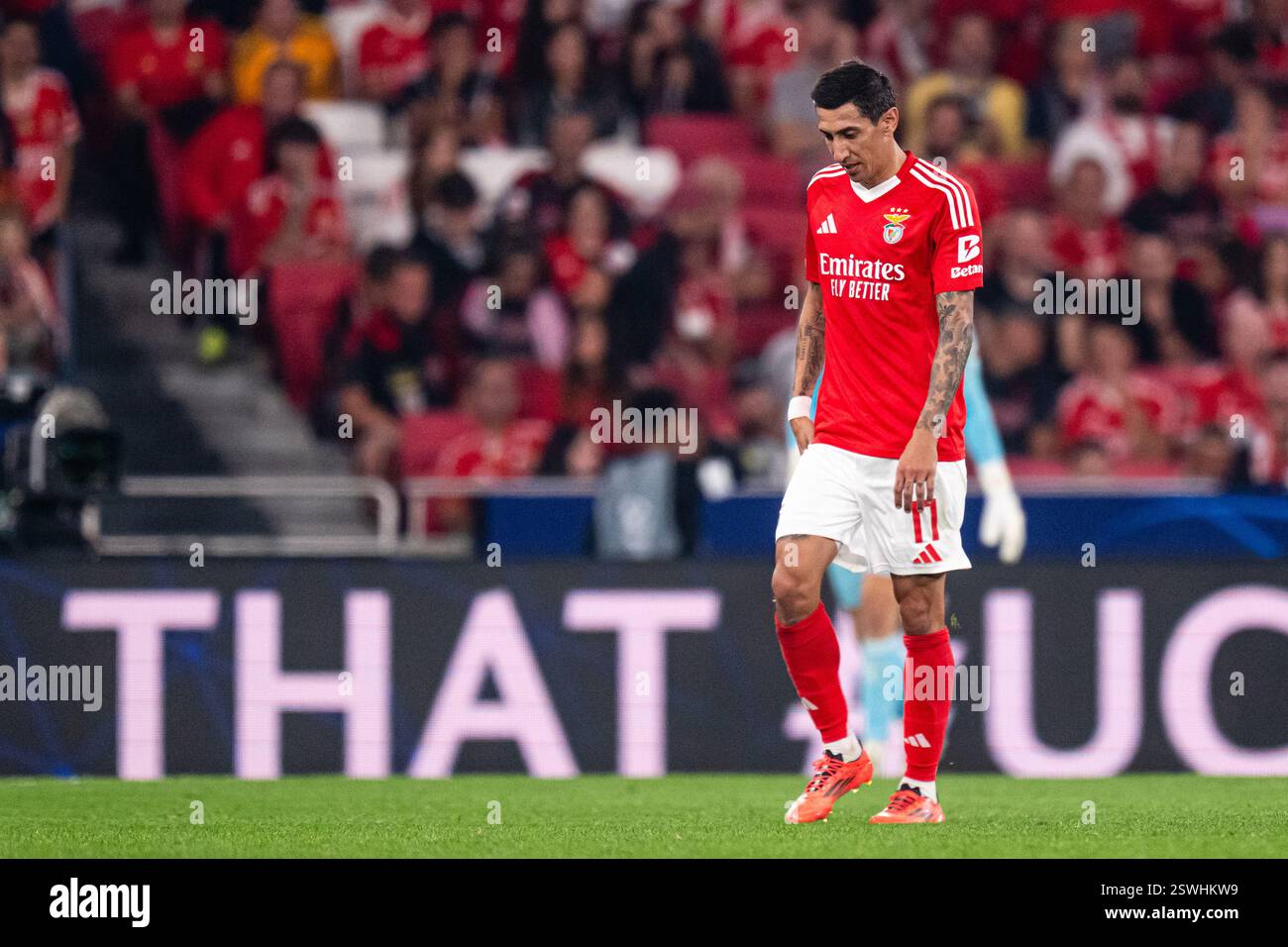 Lisbon - Angel Di Maria if SL Benfica during the third round of new ...