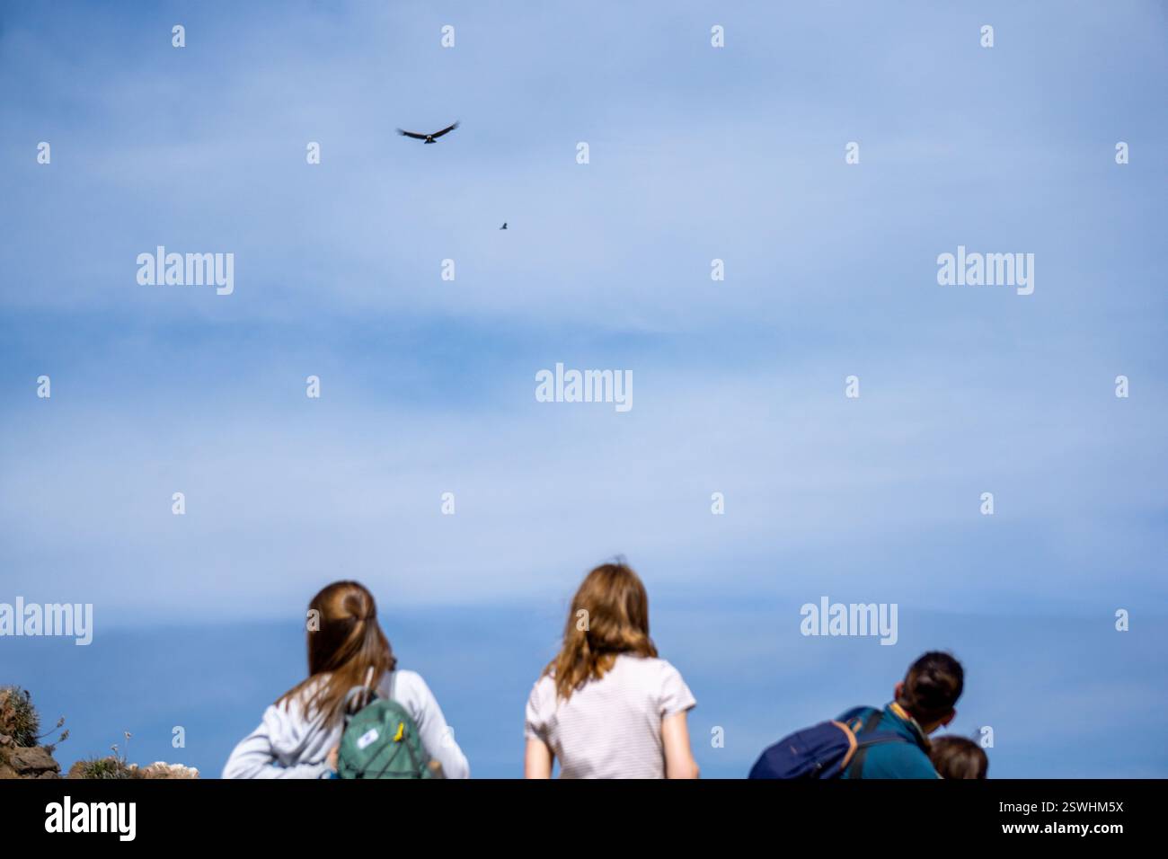 People watching a condor flying at Mirador del Condor in the Colca ...