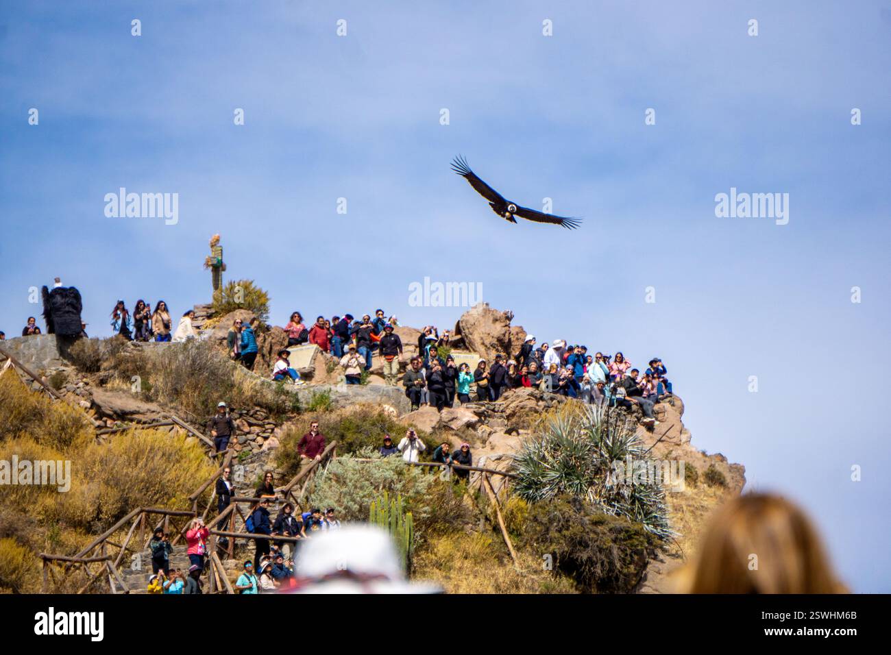 Visitors gathered at Mirador del Condor watching a majestic condor ...