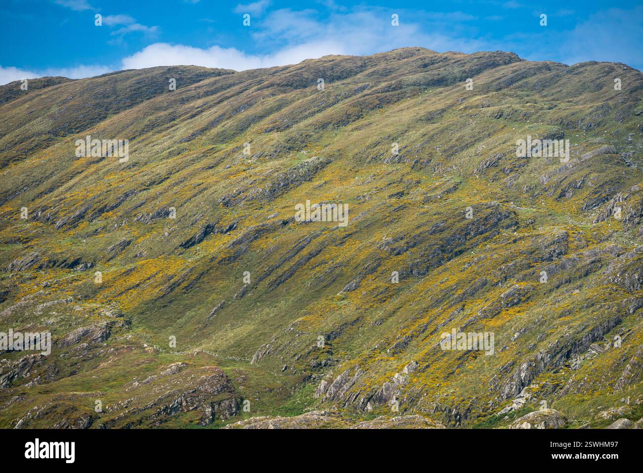 Old red sandstone ireland hi-res stock photography and images - Alamy