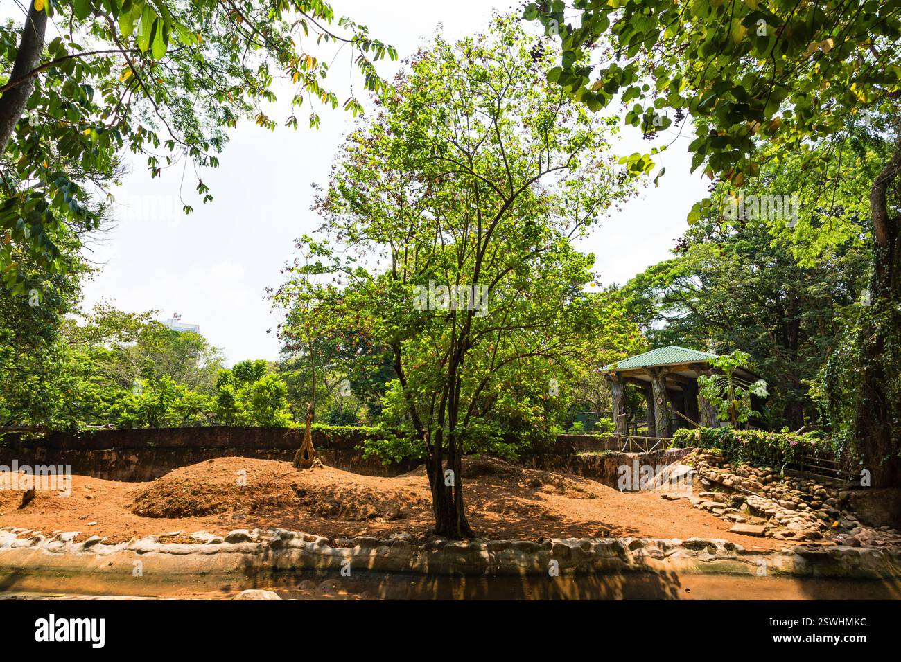 Scenery of the zoo in Thiruvananthapuram, India Stock Photo - Alamy