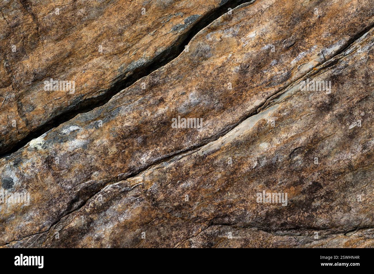 Ripple marks on bedding plane of shallow marine sandstone, Cahermore ...