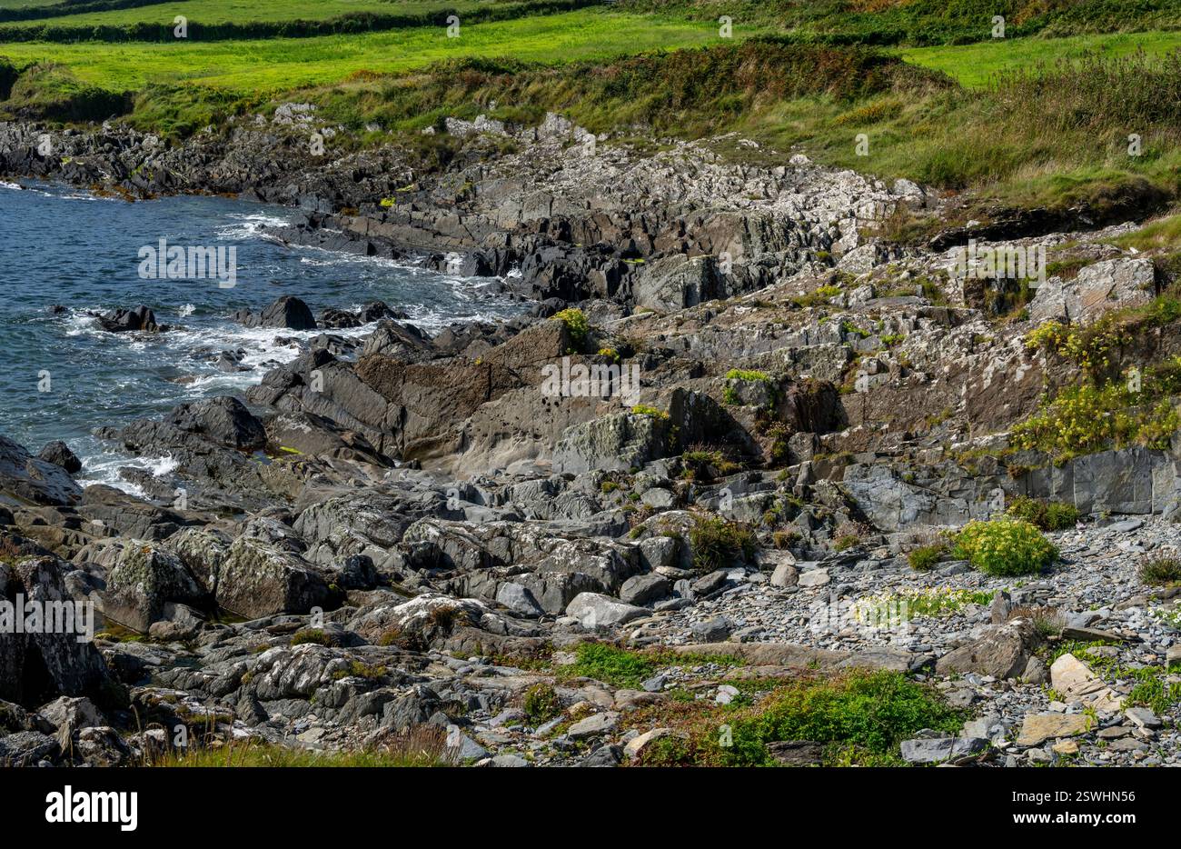 Rocky shoreline at Cahermore, with shallow marine sandstones with ...