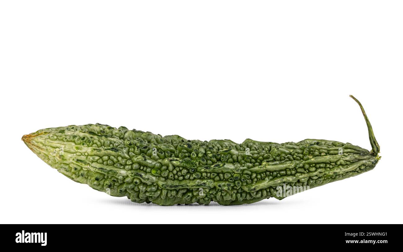 Close-up of a bumpy, fresh, green bitter melon. Isolated on a white ...