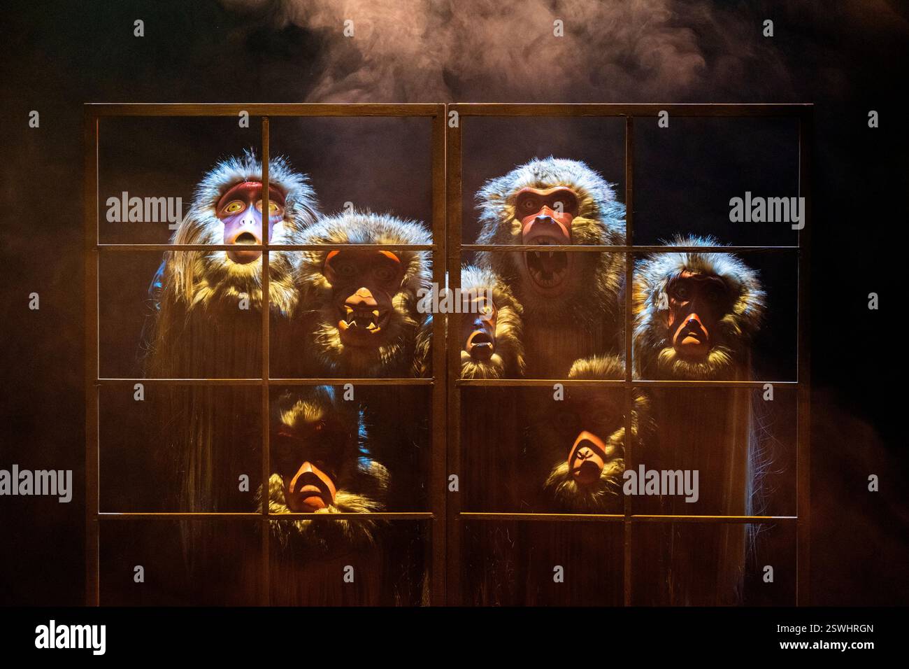 A scene featuring a pride of monkeys on stage during a rehearsal for ...