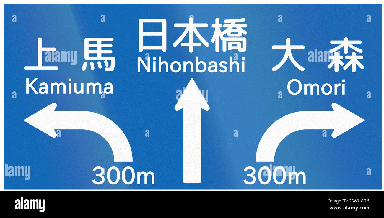 Japanese road sign - Destinations, directions, distances on lanes ...