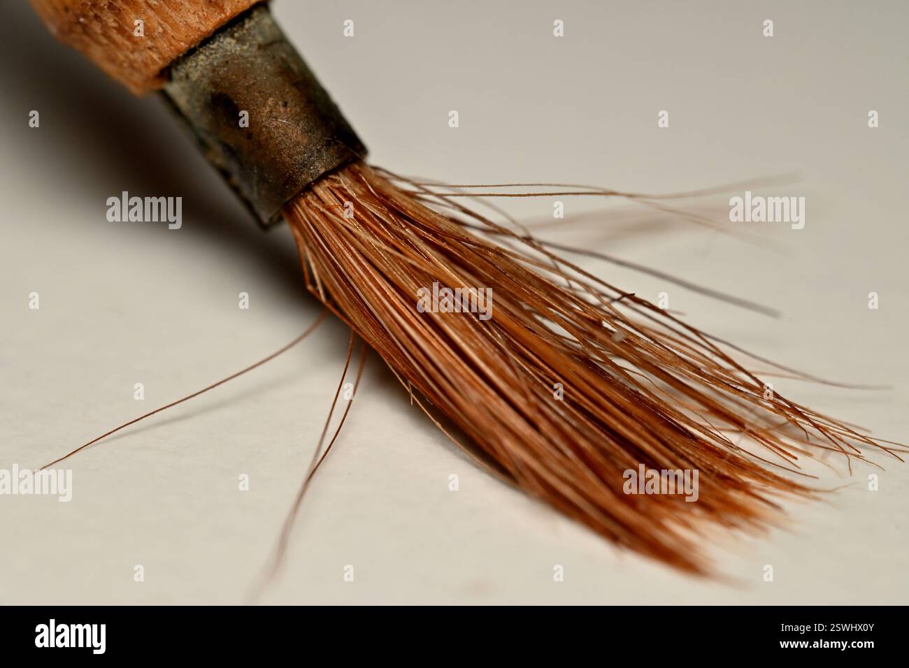 Dividing slit hi-res stock photography and images - Alamy