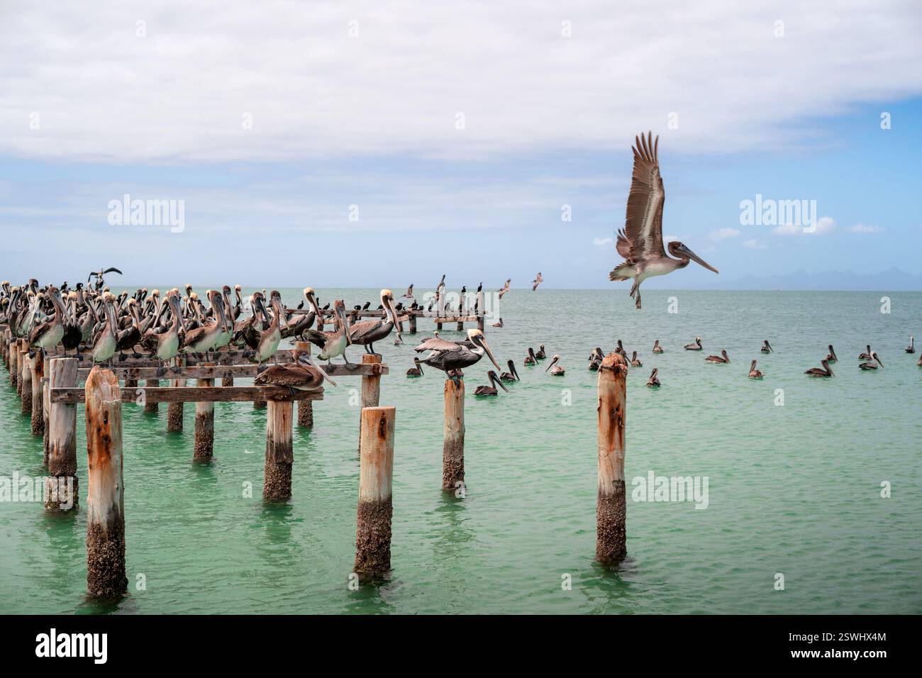 Coche island map hi-res stock photography and images - Alamy