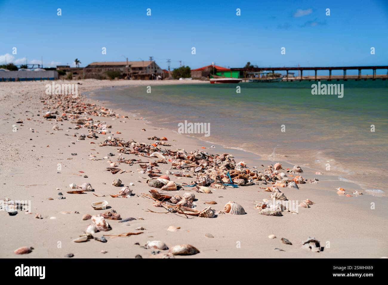 Shell beach on the Caribbean coast, Coche Island, Venezuela. Turquoise color of the sea Stock ...